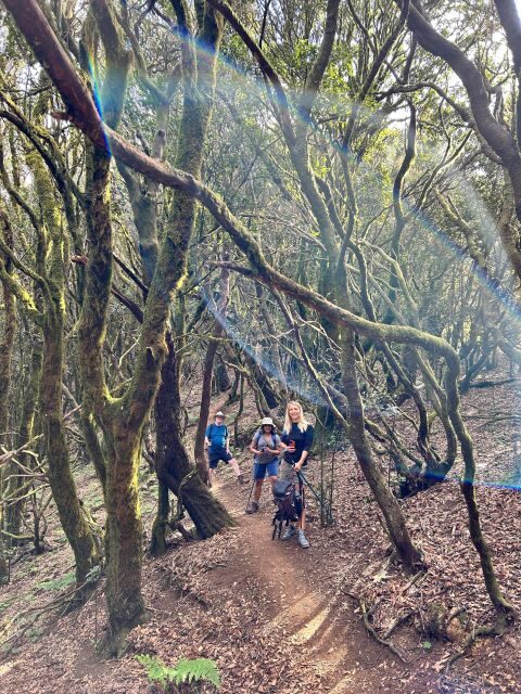Tenerife: Hike Above Masca in Enchanted Forest with Pick-up - Who Is This Tour Best For?