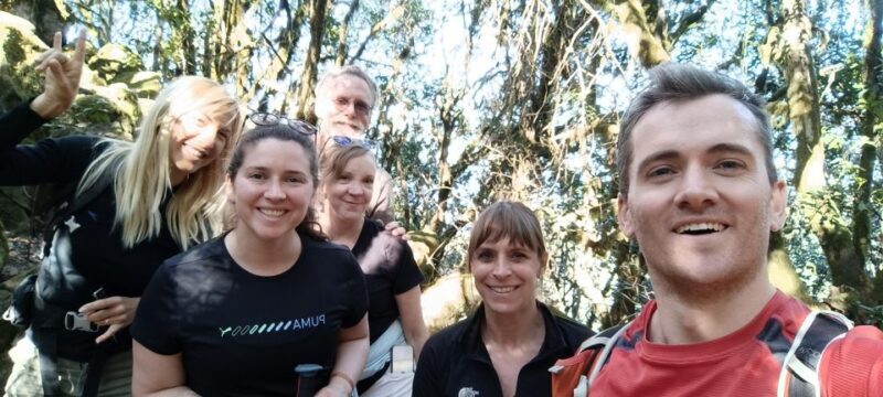 Tenerife: Hike Above Masca in Enchanted Forest with Pick-up - Who Should Book This Tour?