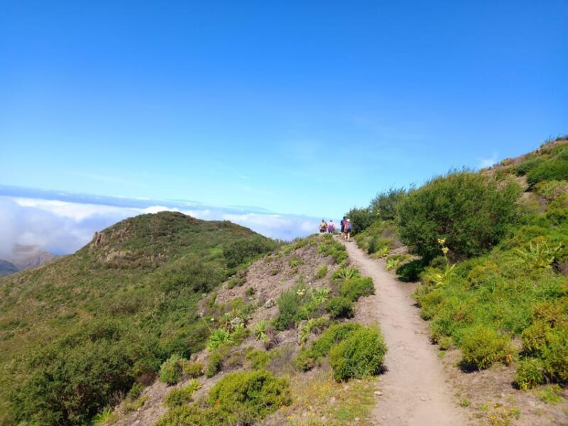 Tenerife: Hiking Above the Village of Masca - Introduction: A Scenic Trek Above Masca