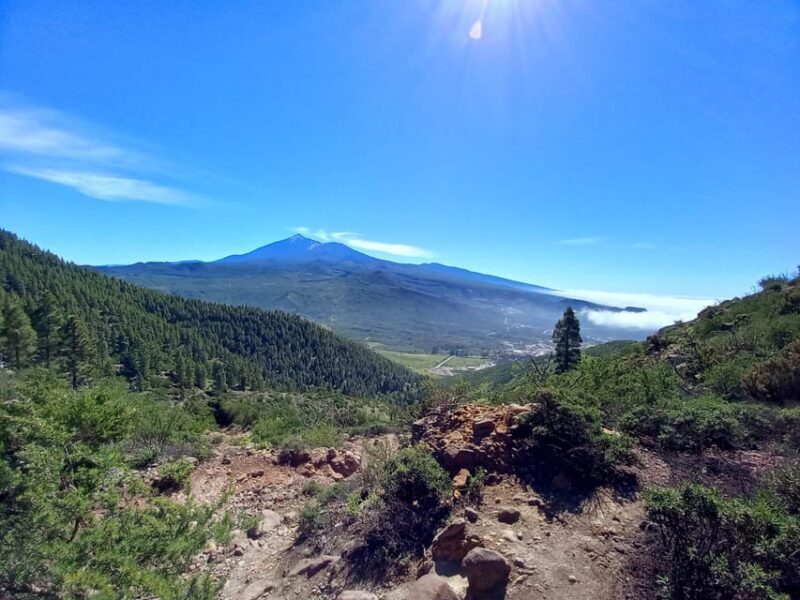 Tenerife: Hiking Above the Village of Masca - Forests, Ridges, and Valleys