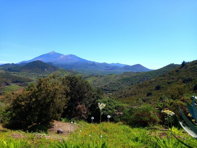 Tenerife: Hiking Above the Village of Masca - What to Bring and Wear