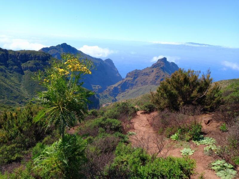 Tenerife: Hiking Above the Village of Masca - Authentic Experiences and Review Highlights