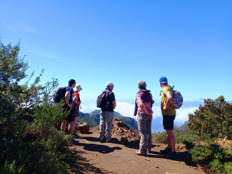 Tenerife: Hiking Above the Village of Masca - Final Thoughts: Is This Tour Right for You?