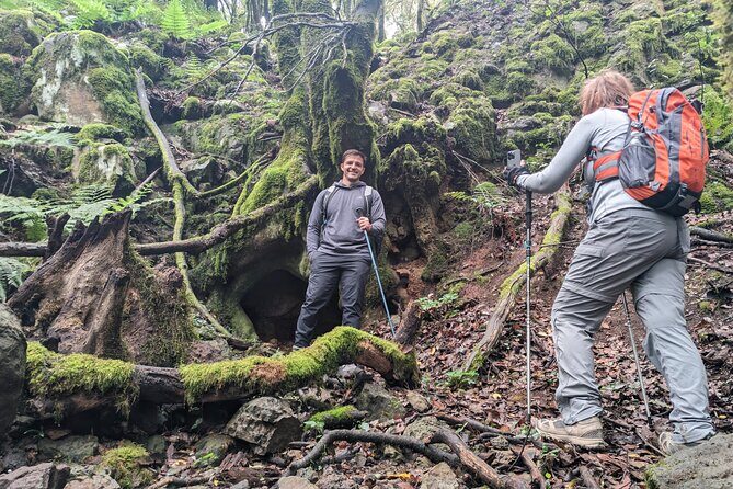 Tenerife: Hiking through Enchanted forest Above Masca with PICKUP - The First Stop: Natural Park of Teno