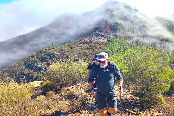 Tenerife: Hiking through Enchanted forest Above Masca with PICKUP - Photos, Memories, and Good Vibes
