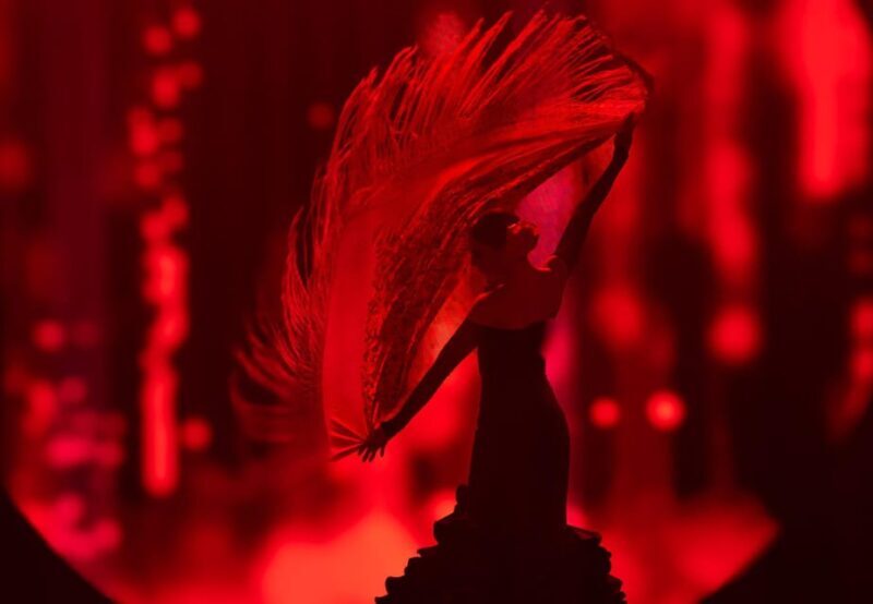 Tenerife: History The Evolution of Music Show Entry Ticket - This review offers a detailed look at the "History of Music" show in Tenerife, a vibrant two-and-a-half-hour performance featuring 30 international artists. While we havent attended ourselves, reviews and details paint a picture of a highly engaging, visually stunning, and musically rich experience that appeals to a broad audience. From talented singers and dancers to impressive costumes and audiovisual effects, this show aims to bring musical history to life in an accessible way. 