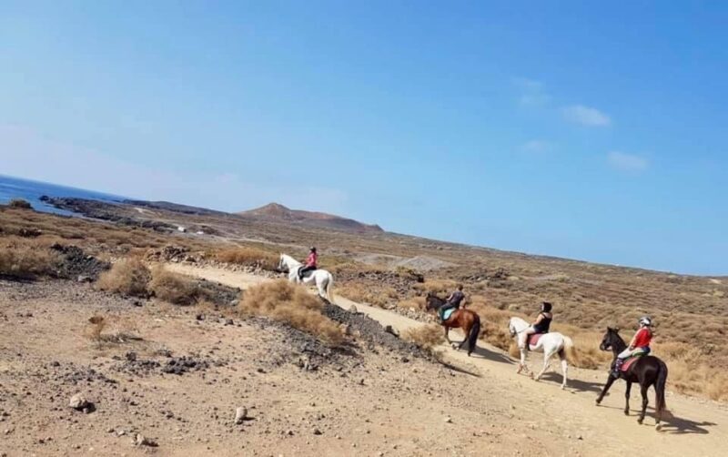 Tenerife: Horseback Ride with Instructor - A Closer Look at the Tenerife Horseback Ride Experience
