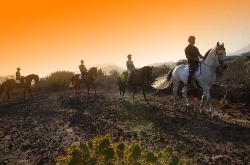 Tenerife: Horseback Ride with Instructor - Who Should Consider This Experience?