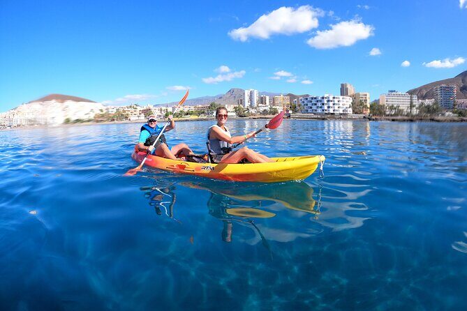 Tenerife: Kayak and snorkel with marine life safari - The Itinerary in Detail