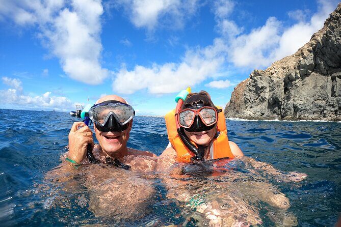 Tenerife: Kayak and snorkel with marine life safari - Equipment, Food, and Safety
