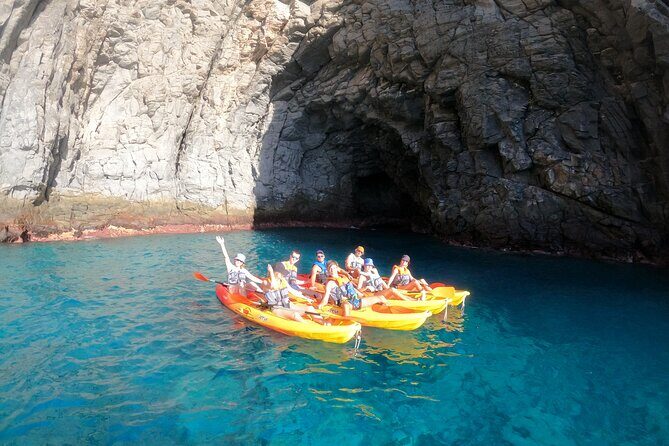 Tenerife: Kayak and snorkel with marine life safari - Weather and Cancellation Policy