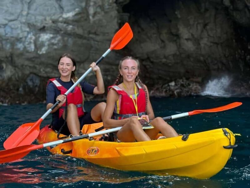 Tenerife: Kayak & Snorkeling, Marine Fauna Watching - Key Points
