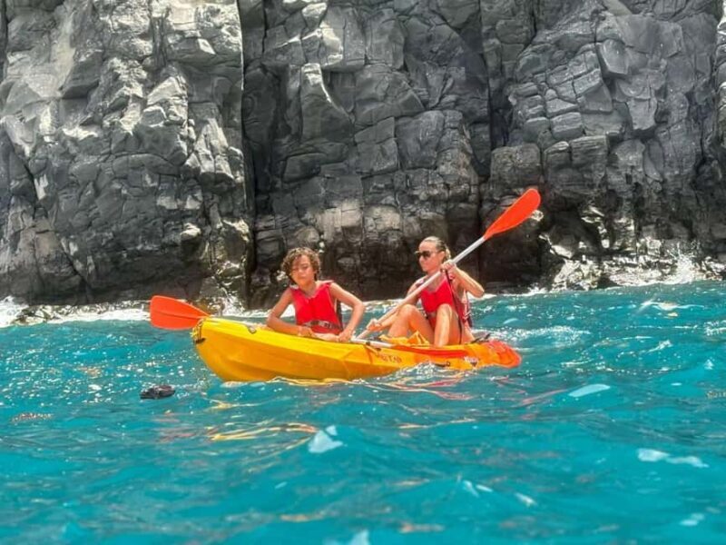 Tenerife: Kayak & Snorkeling, Marine Fauna Watching - What’s Included and What to Bring