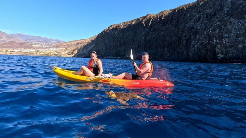 Tenerife: Kayak & Snorkeling Tour - Small Groups - Key Points