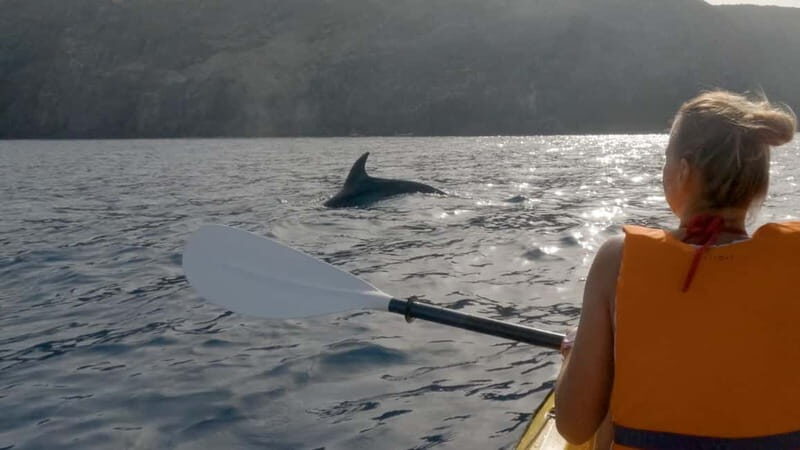 Tenerife: Kayak & Snorkeling Tour - Small Groups - Authentic Experiences from Reviews