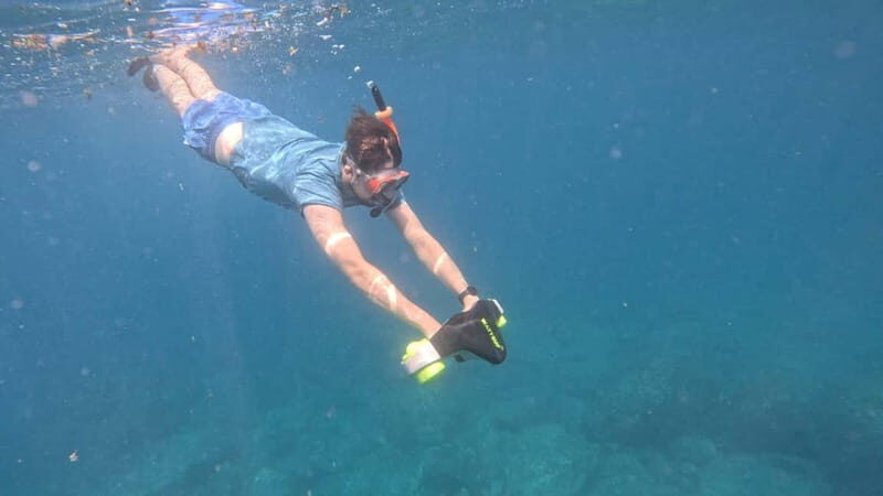 Tenerife: Kayak Tour with Animals and Underwater Scooters - An Adventure in Tenerife: A Close-Up Look