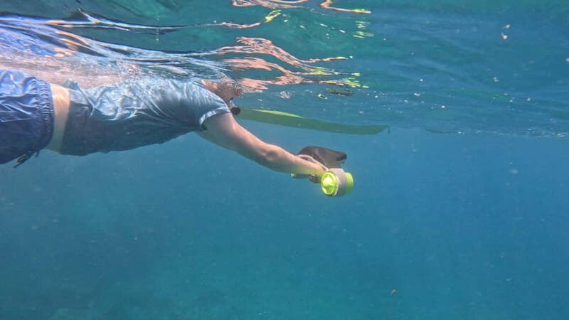 Tenerife: Kayak Tour with Animals and Underwater Scooters - Who Will Love This Tour?