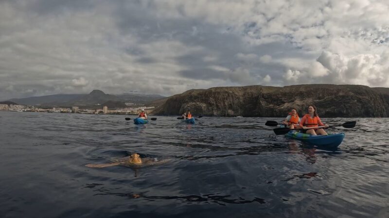 Tenerife: Kayak Tour with Animals and Underwater Scooters - Final Thoughts