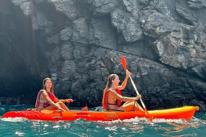 Tenerife Kayak Tour with Marine Wildlife Spotting and Snorkeling - Who Should Book This Tour?