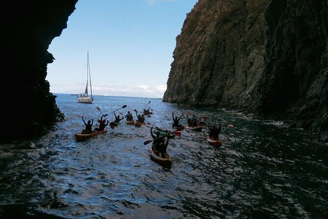 Tenerife Kayak Tour with Marine Wildlife Spotting and Snorkeling - Frequently Asked Questions