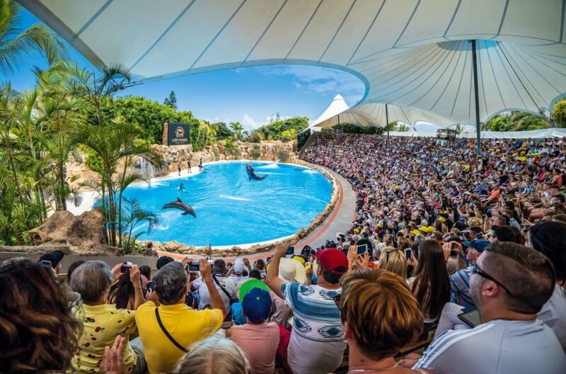 Tenerife: Loro Parque Entry Ticket - An In-depth Look at Loro Parque