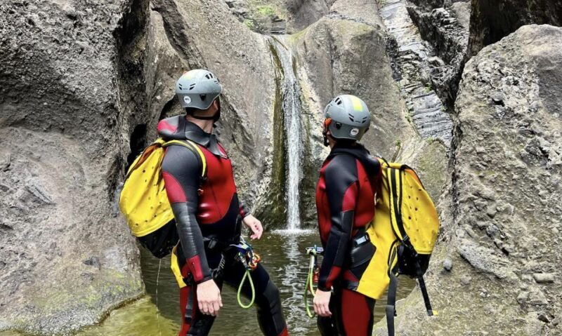 Tenerife: Los Carrizales Water Canyoning Tour - The Value of the Tour