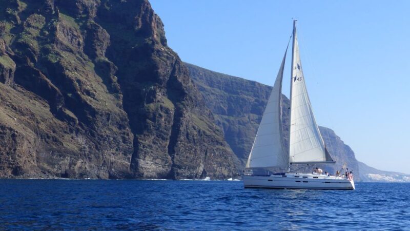 Tenerife: Los Gigantes Whale Watching Cruise by Sail Boat - The Itinerary Breakdown