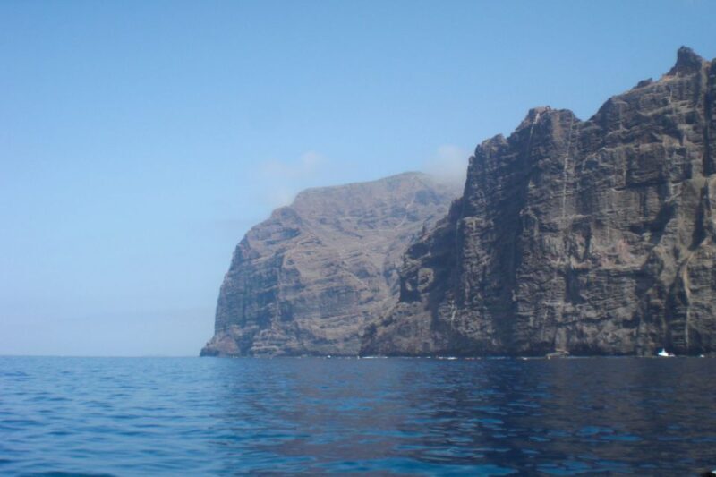 Tenerife: Luxury Private Whale & Dolphin Watching Tour - Key Points