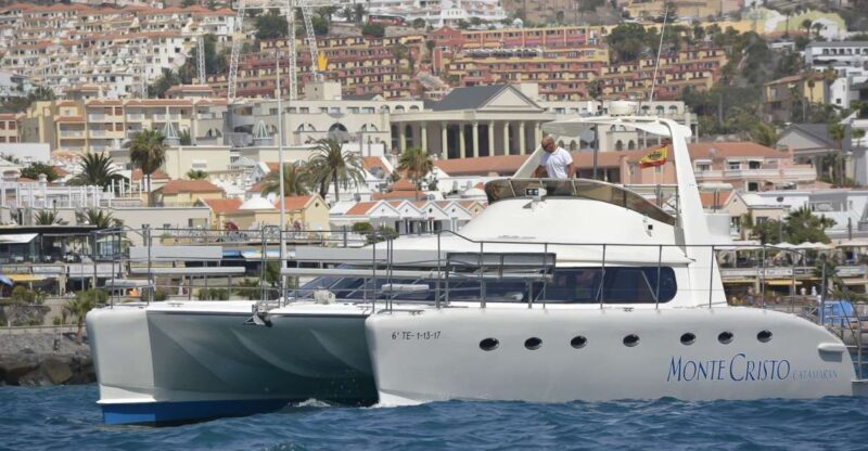 Tenerife: Marine-Life Tour with Transfer, Buffet and Drinks - What to Expect on the Tenerife Marine-Life Tour  