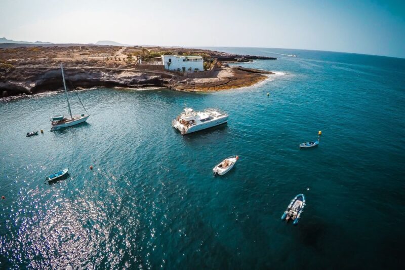 Tenerife: Marine-Life Tour with Transfer, Buffet and Drinks - Scenic Coastline and Sunset Views  