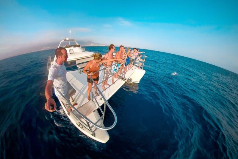 Tenerife: Marine-Life Tour with Transfer, Buffet and Drinks - FAQ  