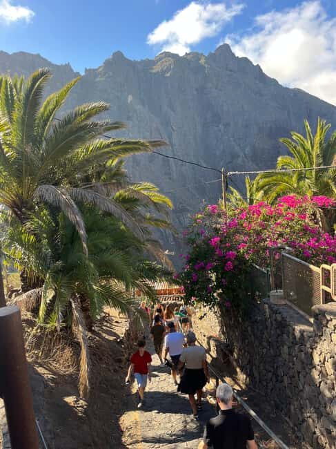 Tenerife: Masca, Los Gigantes & Natural Pools + Picnic - What Makes This Tour Stand Out?