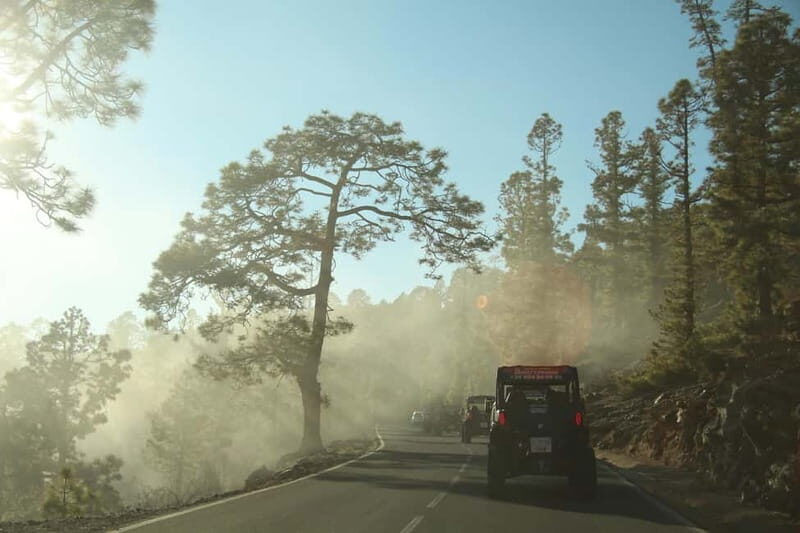 Tenerife: MORNING - 3H Buggy tour of Teide - Key Points