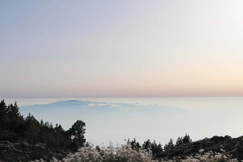 Tenerife: MORNING - 3H Buggy tour of Teide - Practical Information & FAQs
