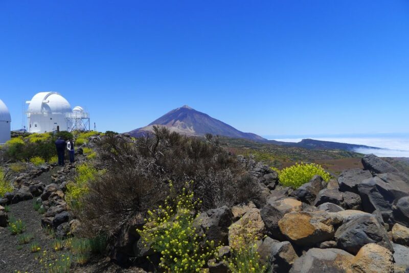 Tenerife: Mount Teide Observatory Astronomical Tour - Key Points