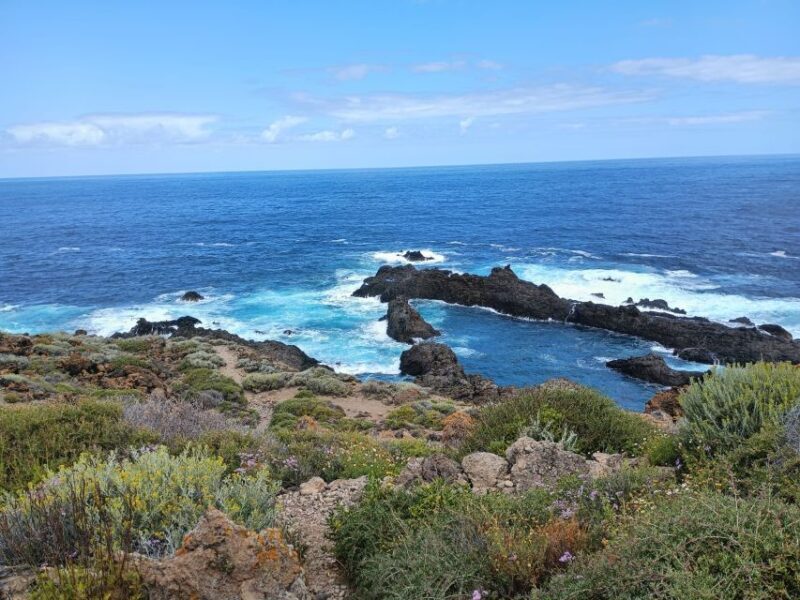 Tenerife: North Coast Landscapes Private Day Tour - Key Points