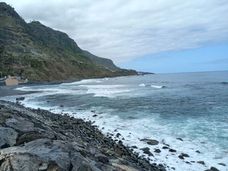 Tenerife: North Coast Landscapes Private Day Tour - Who Is This Tour Best For?