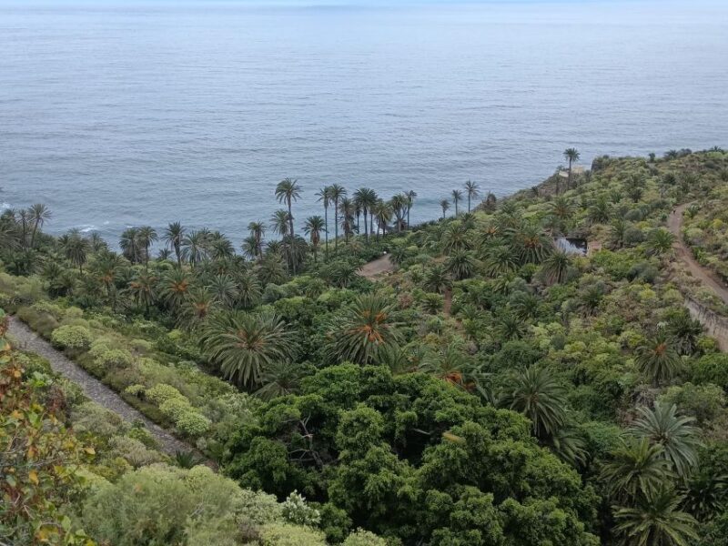 Tenerife: North Coast Landscapes Private Day Tour - FAQ