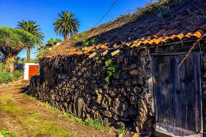 Tenerife North Private Tour: Through Villages and Ports - Authentic Experiences and Local Insights