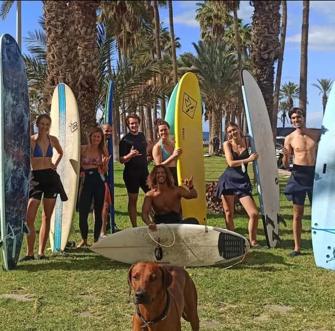 Tenerife: Paddle Surf Experience in Playa de las Américas - Introduction: What to Expect from the Paddle Surf Experience