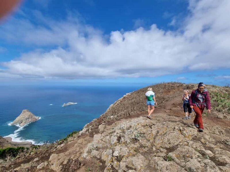 Tenerife: Panoramic Laurel Forest Guided Hike and local food - Key Points