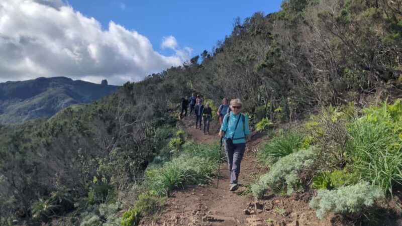 Tenerife: Panoramic Laurel Forest Guided Hike and local food - FAQ