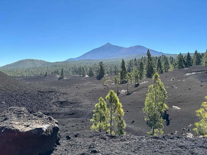Tenerife: premium e-bike ride at Chineyro volcanic area - What to Expect on the Tour