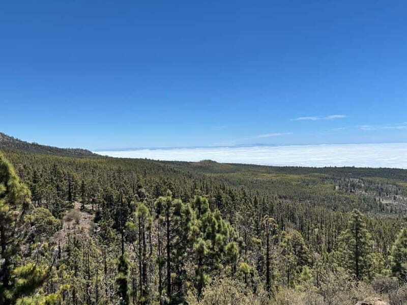 Tenerife: premium e-bike ride at Vilaflor- Lunar Landscape - Key Points