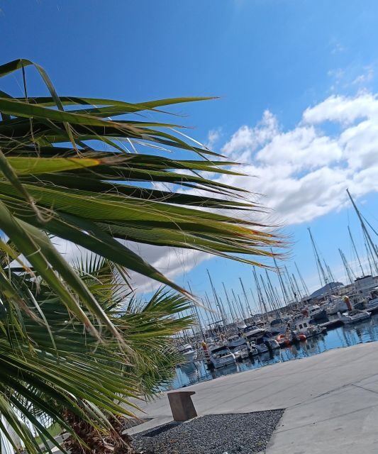 Tenerife: PRIVATE Catamaran cruise with Lunch and Drinks - The Sum Up