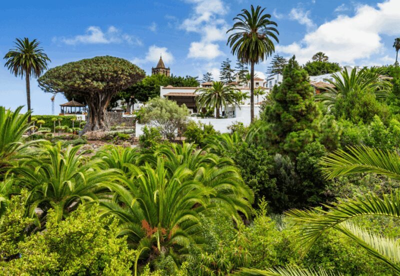 Tenerife: Private Day Tour of the Island with Hotel Pickup - Key Points  