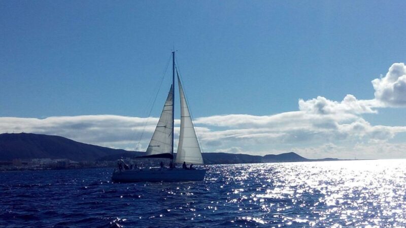 Tenerife: Private or Group 3 Hour Sailing Cruise with Drinks - Key Points