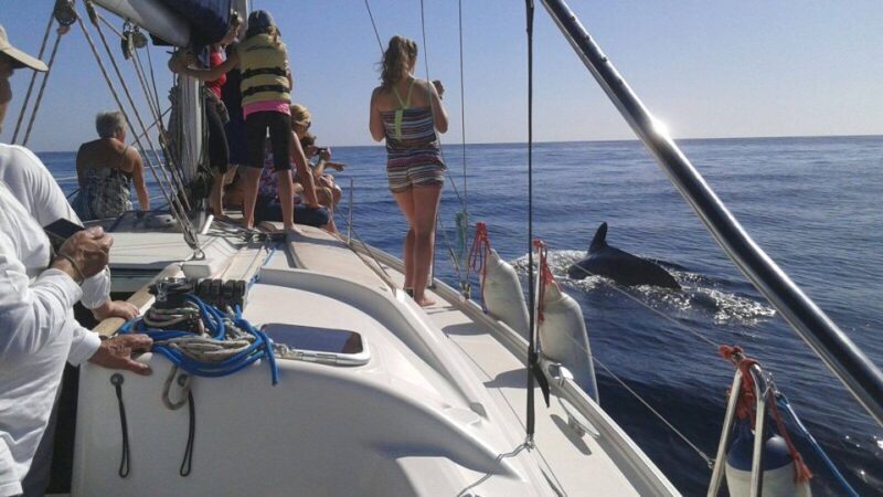 Tenerife: Private or Group 3 Hour Sailing Cruise with Drinks - Practical Tips for Your Trip
