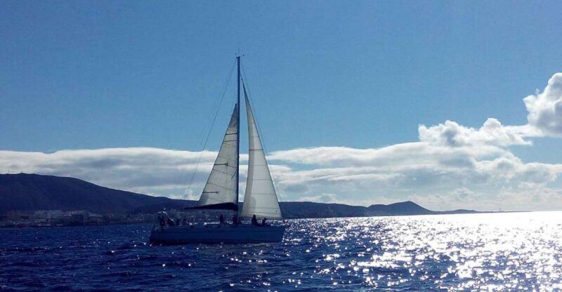 Tenerife: Private or Group 3 Hour Sailing Cruise with Drinks - FAQ