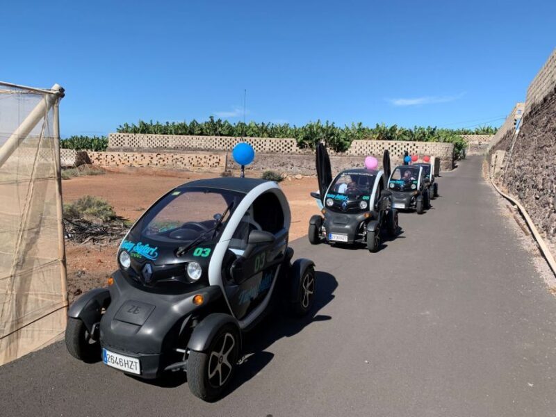 Tenerife: Private Renault Twizy Tour - Key Points